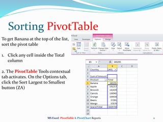 MS Excel Pivot Table Reports & Charts | PPTX
