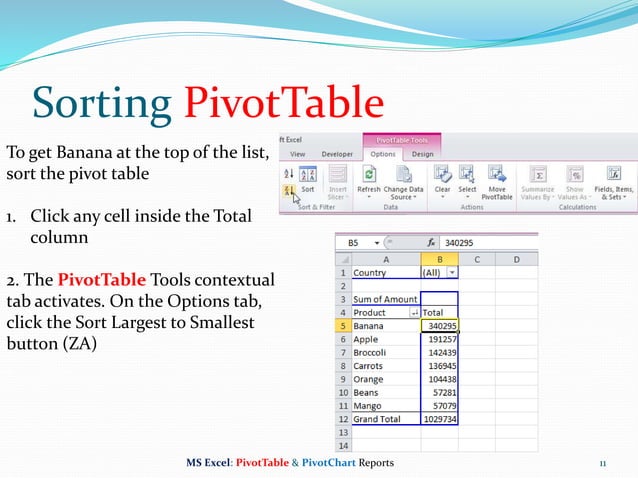 MS Excel Pivot Table Reports & Charts | PPTX