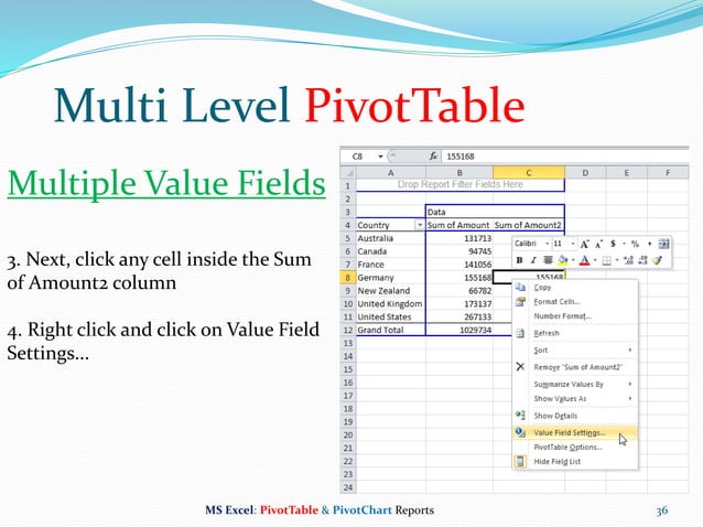 MS Excel Pivot Table Reports & Charts | PPTX