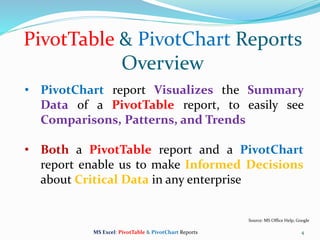MS Excel Pivot Table Reports & Charts | PPTX