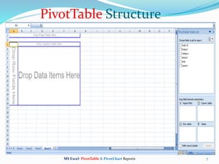 MS Excel Pivot Table Reports & Charts | PPTX