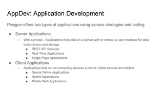 Pixegon Introduction | PDF