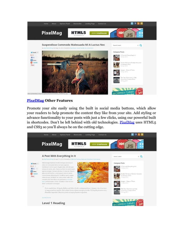 Pixel mag responsive wordpress theme | PDF