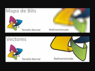 Pixel vs vector | KEY