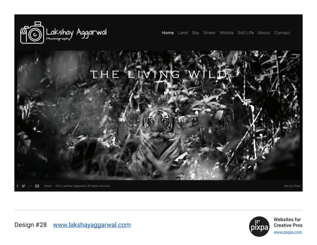 Pixpa - Online Portfolio Website Examples | PPT