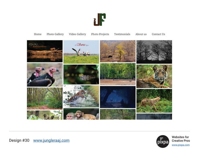 Pixpa - Online Portfolio Website Examples | PPT