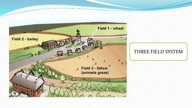 Three Field System Diagram