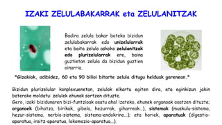 3. ZIKLOA: IZAKI BIZIDUNAK+ZELULAK+MOTAK .pptx