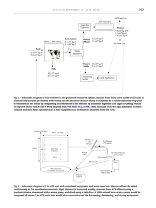 Presentación Algas | PDF