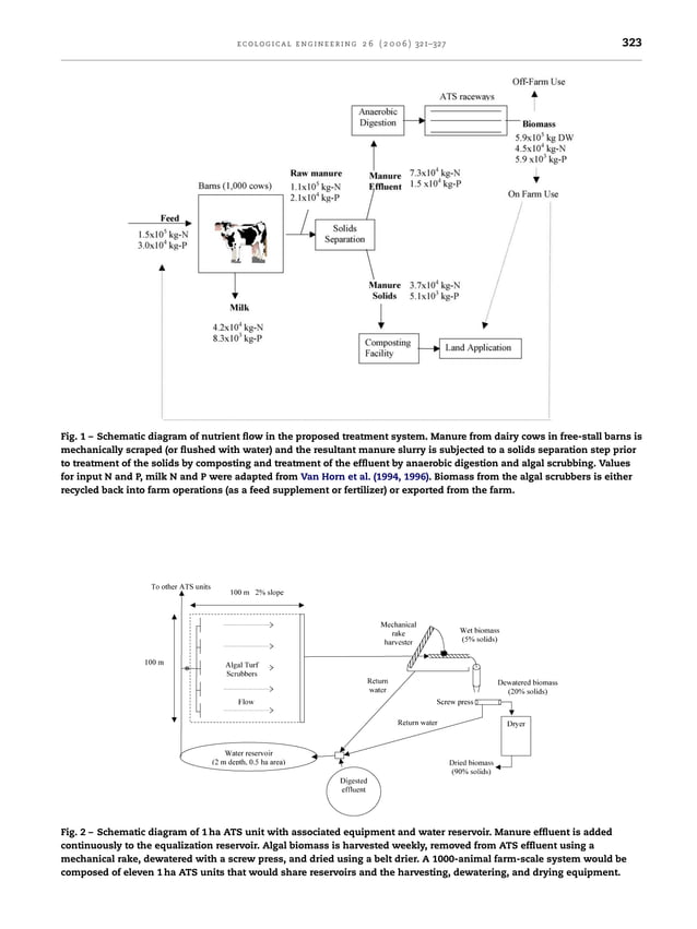 Presentación Algas | PDF