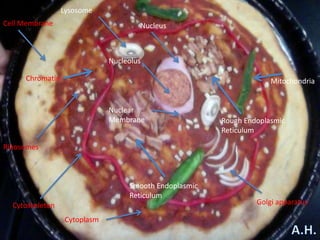 Pizza.cell.model.powerpoint | PPTX