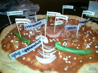 Pizza.cell.model.powerpoint | PPTX