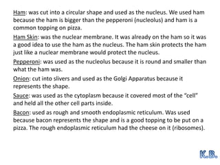 Pizza.cell.model.powerpoint | PPTX