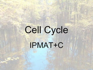 Cell cycle notes | PPT