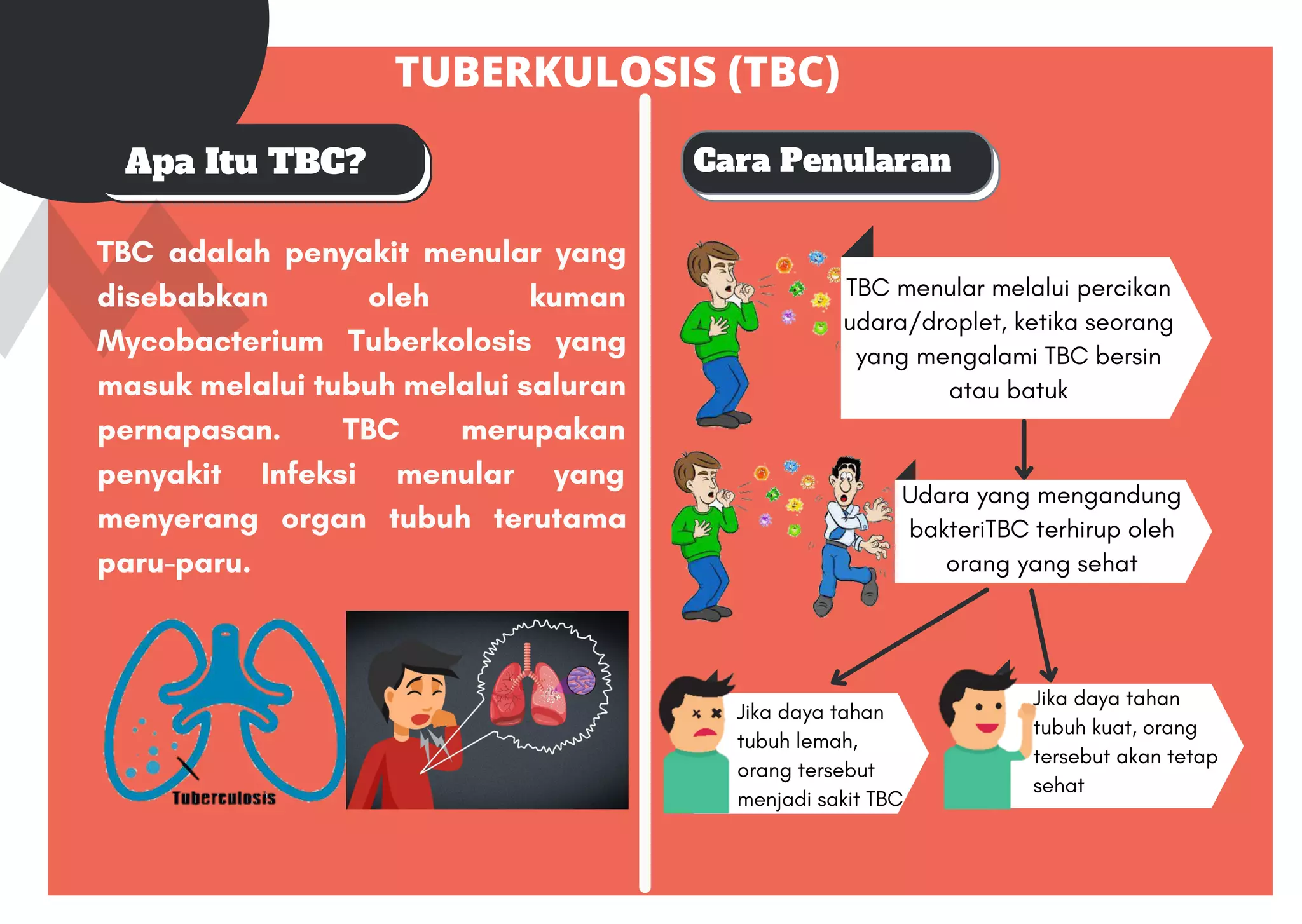 Tuberkulosis - Lembar Balik Promosi Kesehatan | PDF
