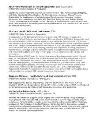 PL Jensen HSE Professional | PDF