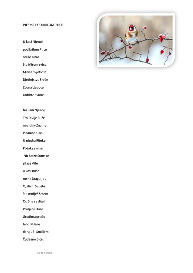 Pjesma pod krilom ptice | DOCX