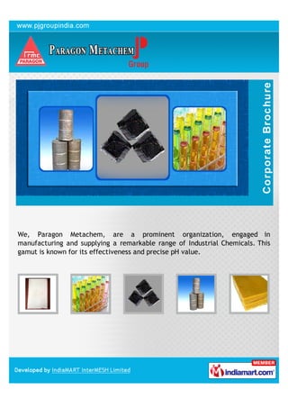 Paragon Metachem, Mumbai , Industrial Chemicals | PDF