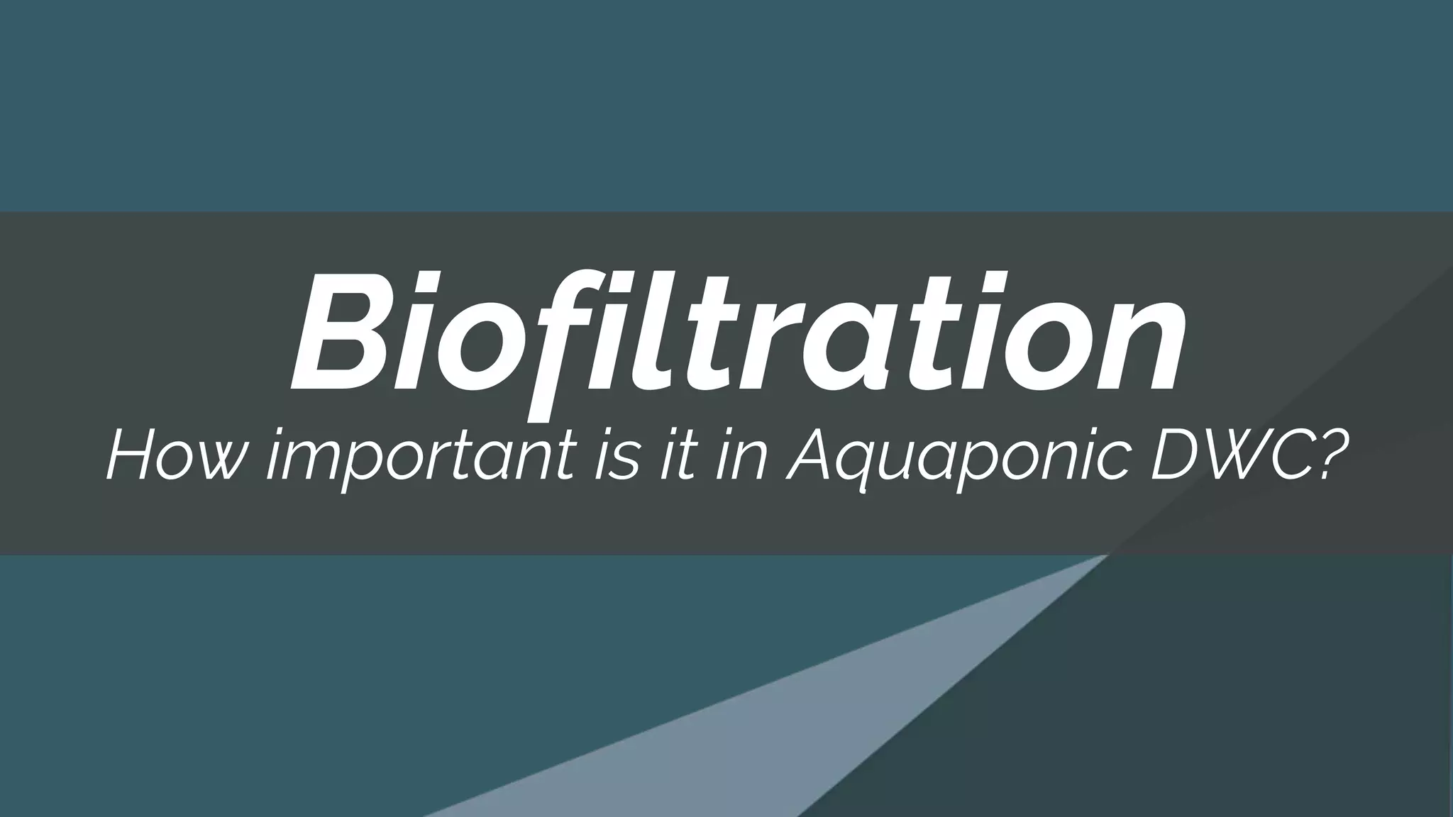 How important is biofiltration in aquaponic DWC systems? | PPT
