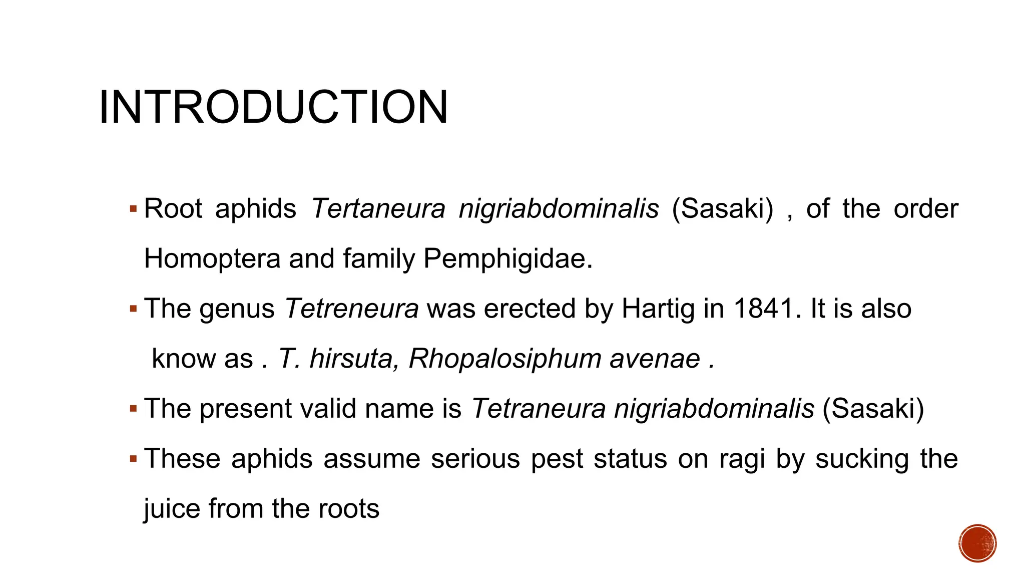 FINGER MILLET ROOT APHID( PEST OF FINGER MILLET) . pptx | PPTX