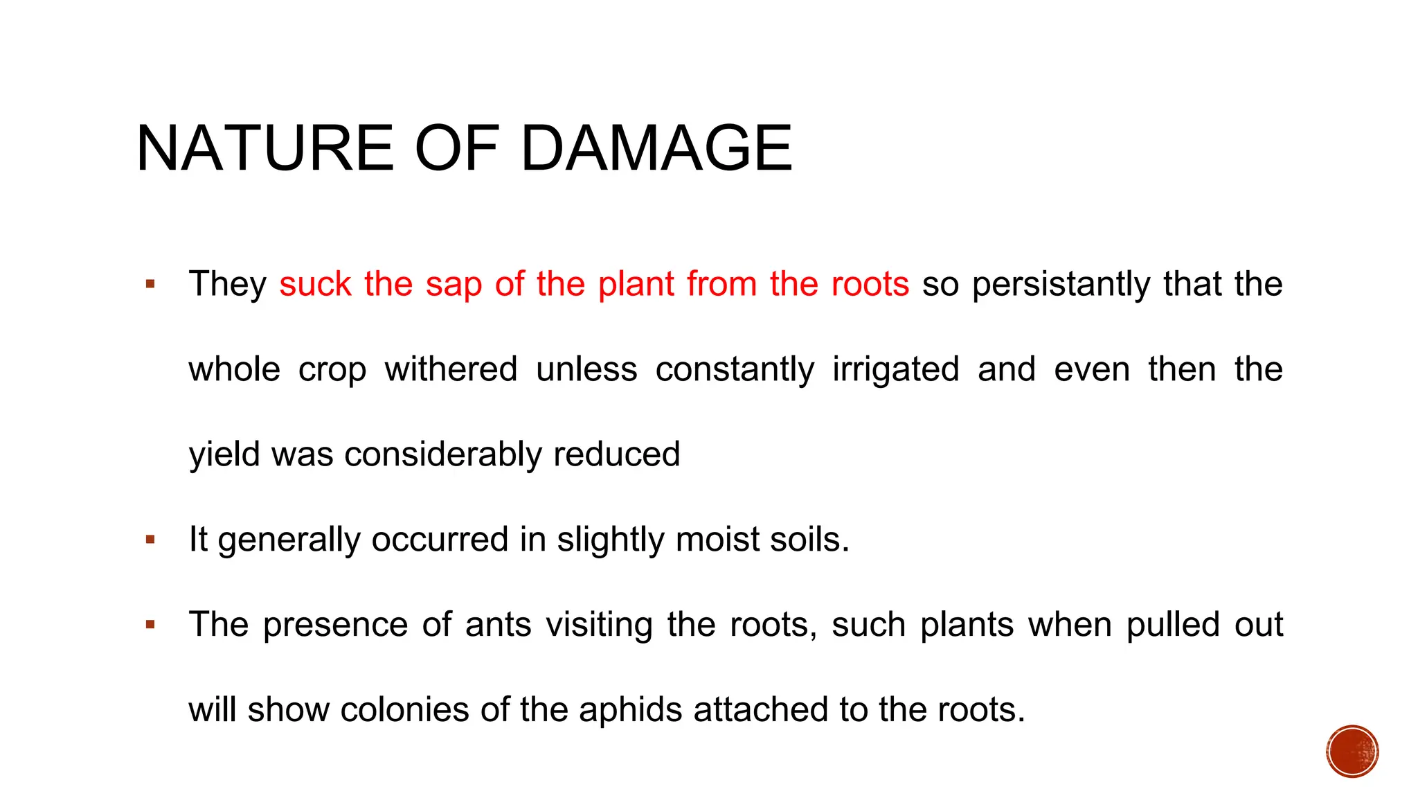 FINGER MILLET ROOT APHID( PEST OF FINGER MILLET) . pptx | PPTX