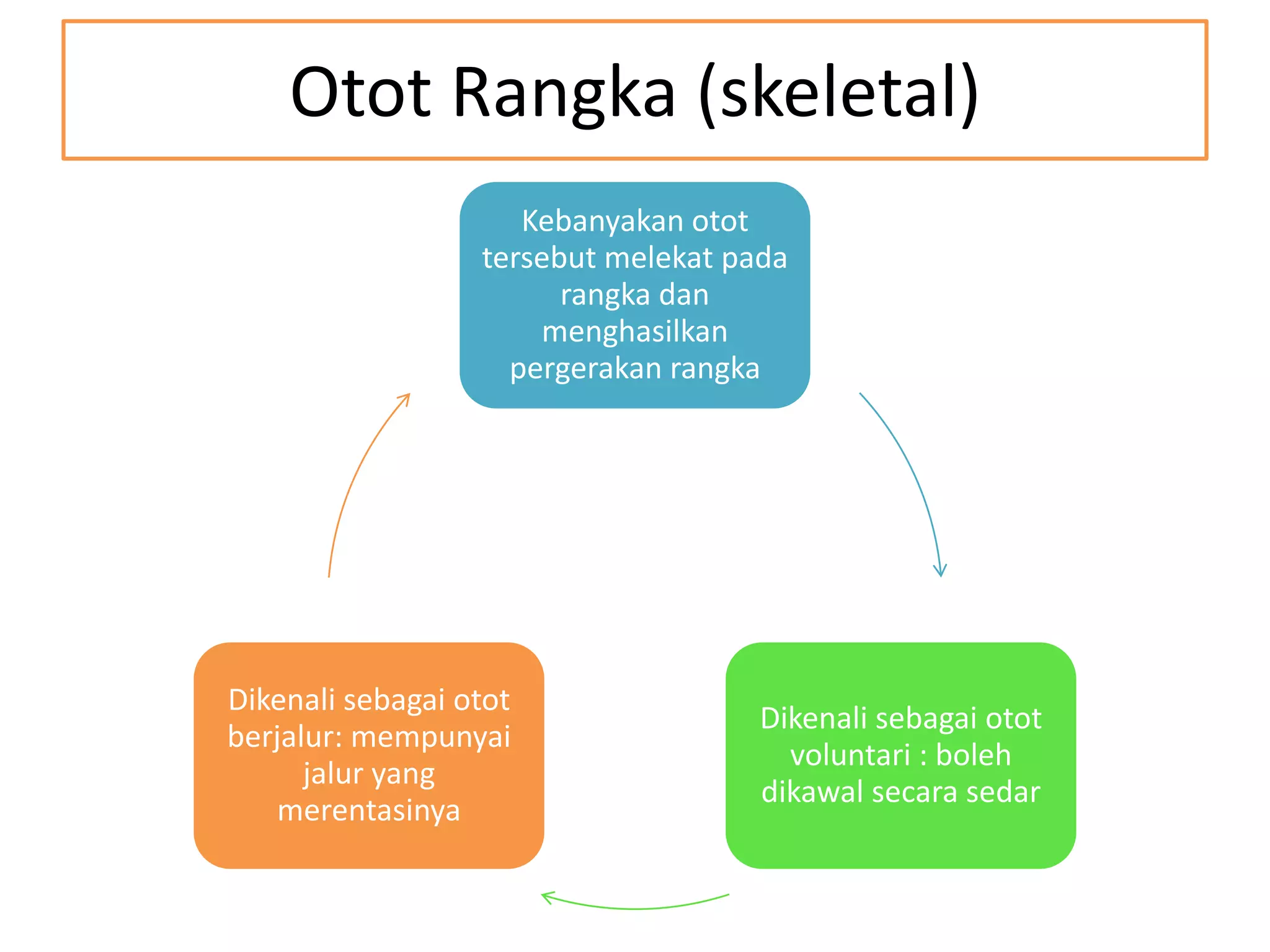 Pjm 3106 anatomi dan fisiologi-Sistem otot | PPTX