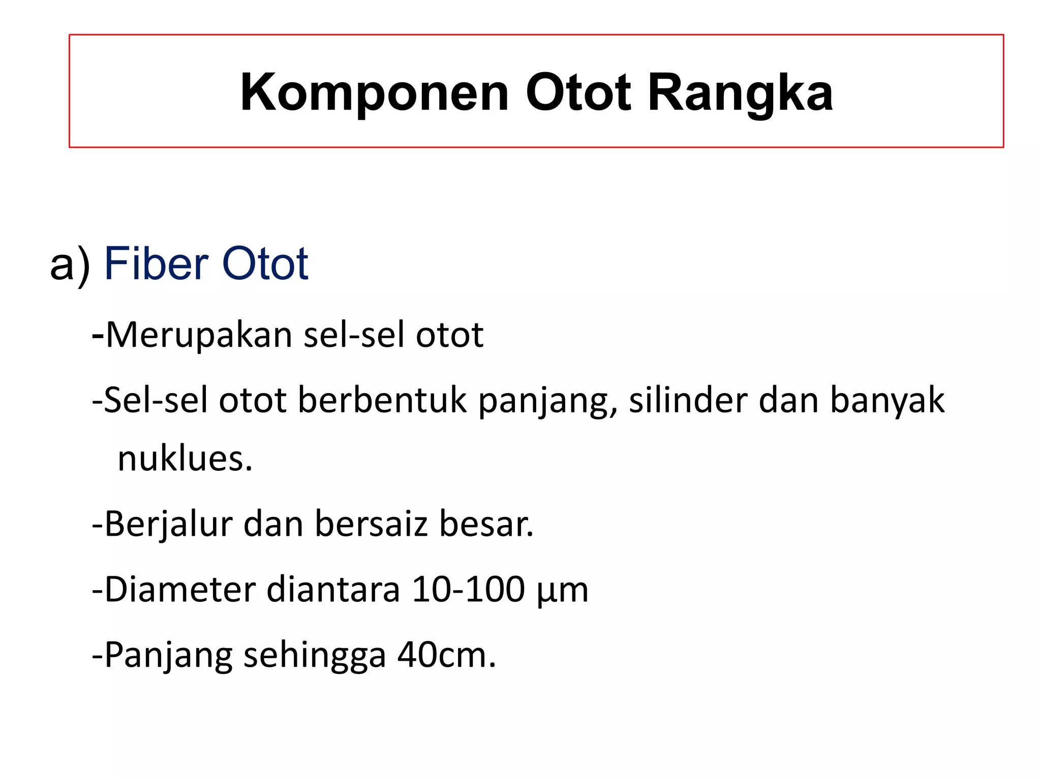 Pjm 3106 anatomi dan fisiologi-Sistem otot | PPTX