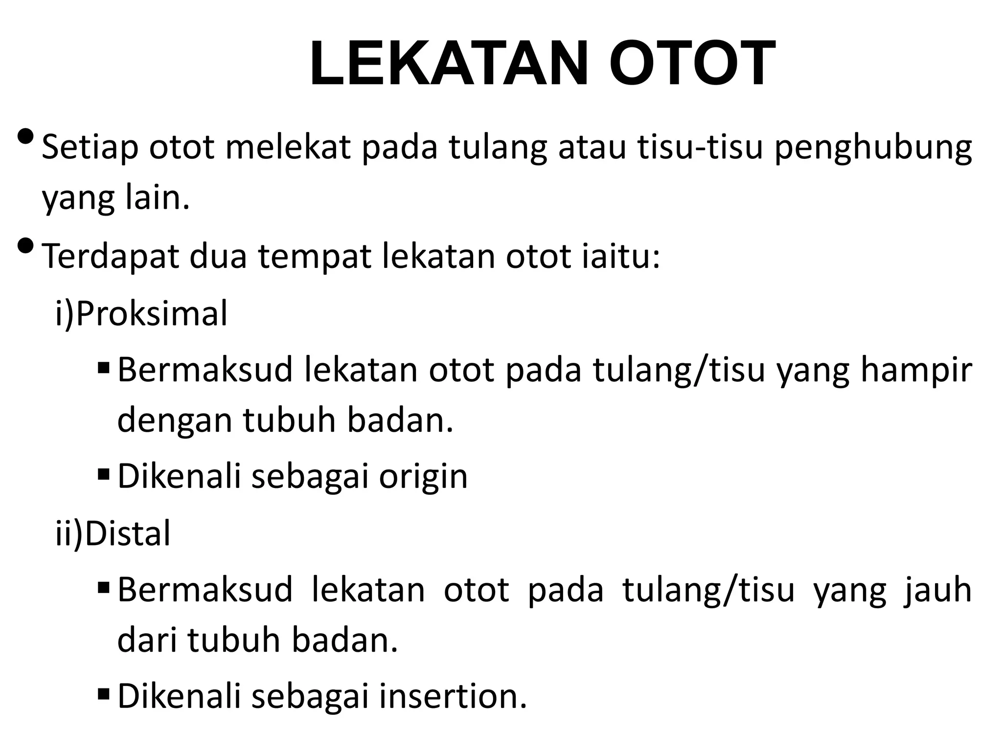 Pjm 3106 anatomi dan fisiologi-Sistem otot | PPTX