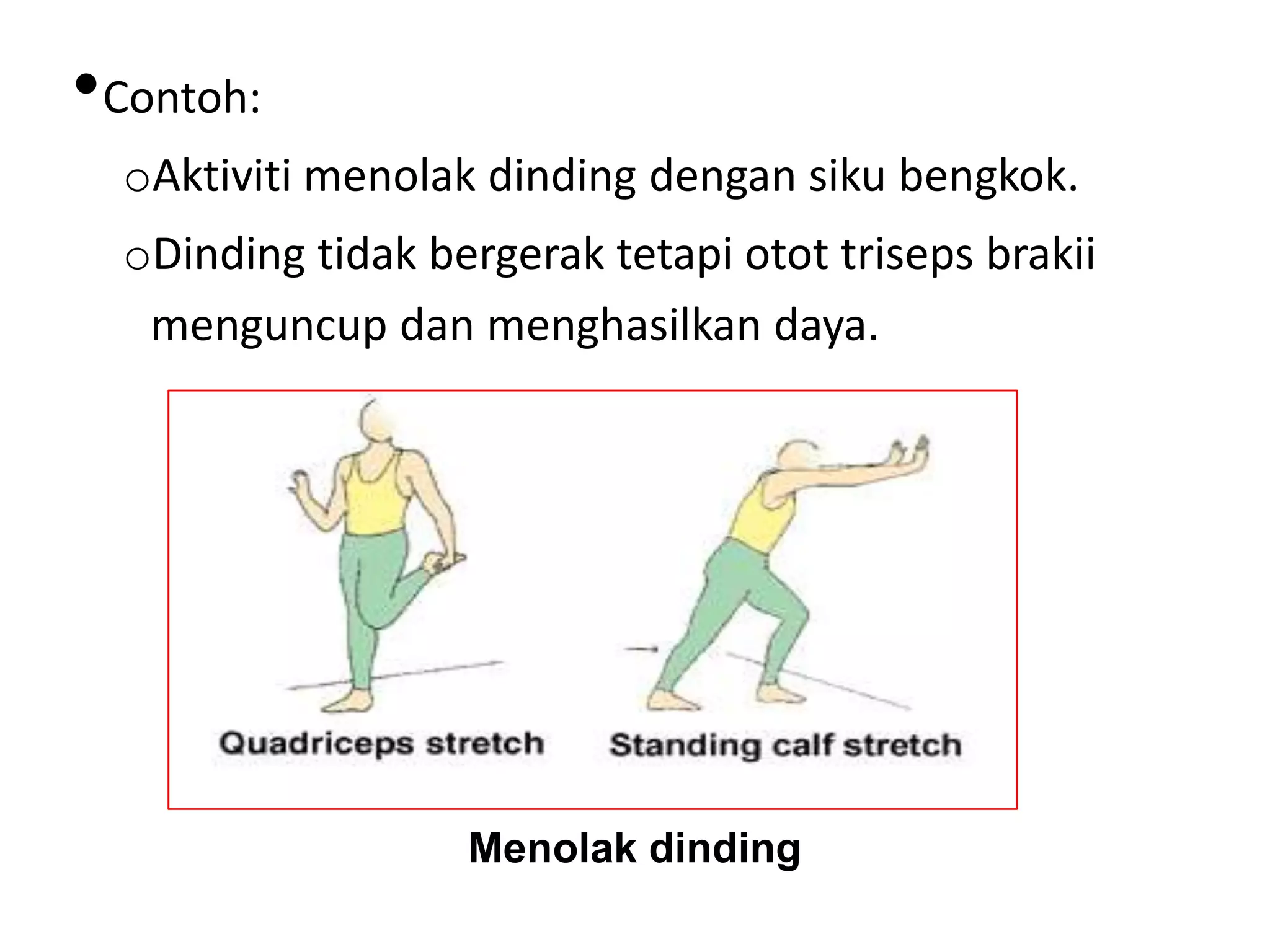 Pjm 3106 anatomi dan fisiologi-Sistem otot | PPTX