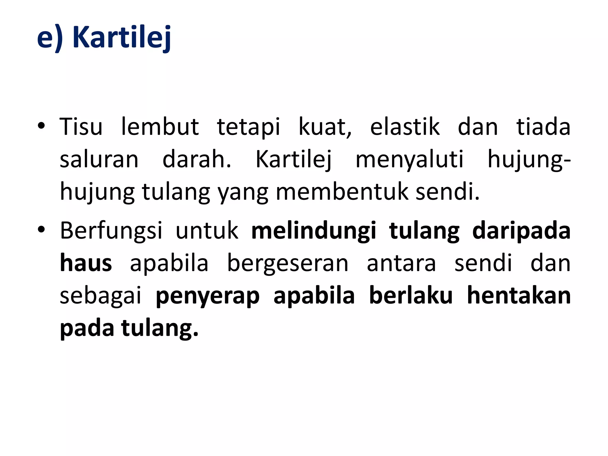 Pjm 3106 anatomi dan fisiologi-Sistem otot | PPTX