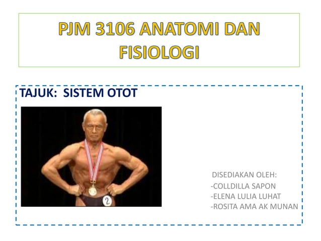 Pjm 3106 anatomi dan fisiologi-Sistem otot | PPTX