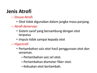 Pjm 3106 anatomi dan fisiologi-Sistem otot | PPTX