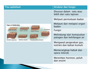 Pengenalan kepada anatomi dan fisiologi peringkat kimia, selular dan ...