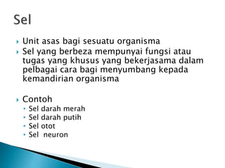 Pengenalan kepada anatomi dan fisiologi peringkat kimia, selular dan ...