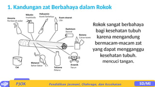 PJOK 5 Bab 10 Bahaya Merokok, Minuman Keras, Napza, dan Obat Berbahaya ...