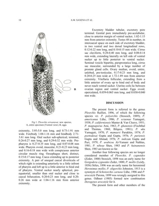 On First Record of a Trematode Parasite of Genus Pleorchis Railliet ...