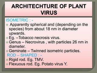PLANT VIRUS PPT - SLIDE SHARE | PPTX
