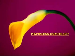 Penetrating keratoplasty in ophthalmology | PPTX