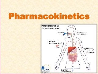 Pharmacokinetics.pptx