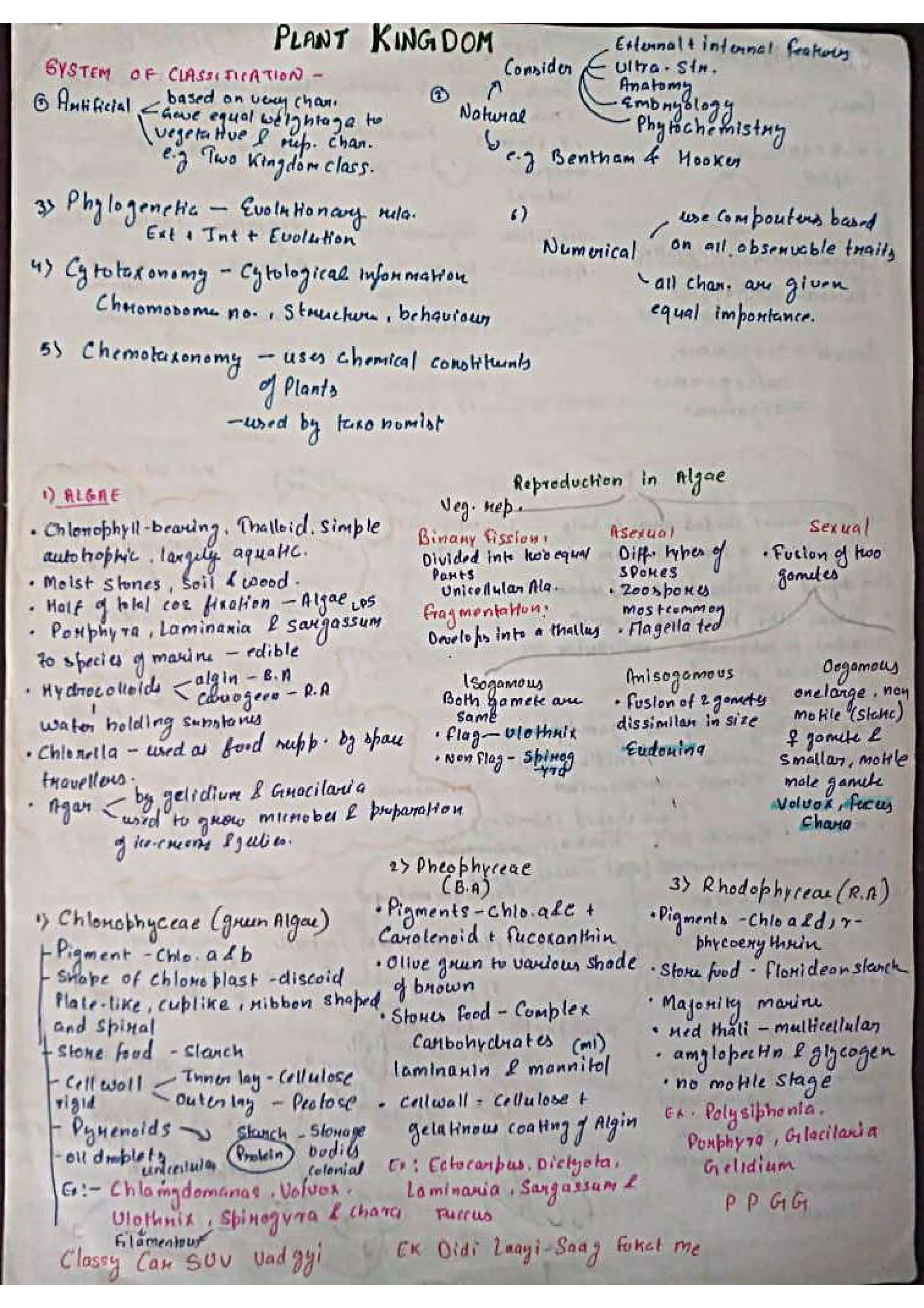 PLANT KINGDOM SHORT NOTES CLASS 11 BIOLOGY | PDF