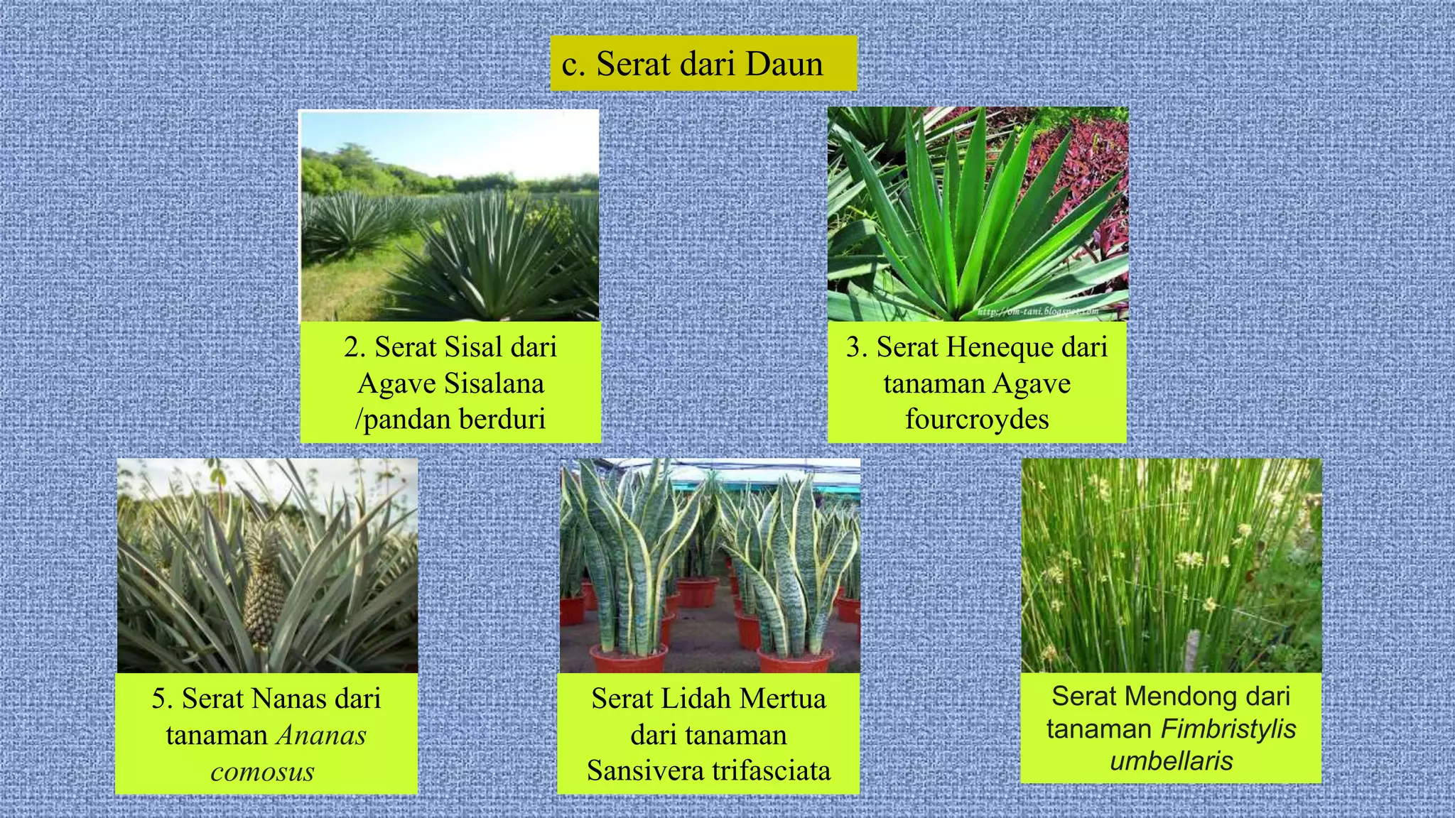 Pk7 kd 3.1. m1 Pengertian, jenis dan karateristik bahan serat alam dari ...
