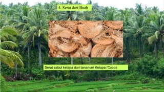 Pk7 kd 3.1. m1 Pengertian, jenis dan karateristik bahan serat alam dari ...