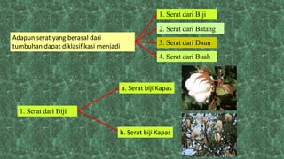 Pk7 kd 3.1. m1 Pengertian, jenis dan karateristik bahan serat alam dari ...