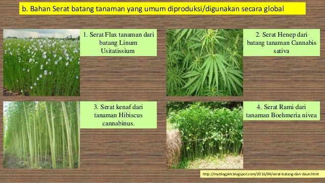 Pk7-KD5T1 Pengertian ,Jenis dan Karakteristik Bahan Serat Alam dari ...