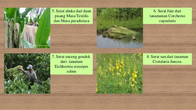 Pk7-KD5T1 Pengertian ,Jenis dan Karakteristik Bahan Serat Alam dari ...