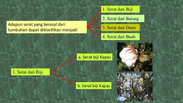 Pk7-KD5T1 Pengertian ,Jenis dan Karakteristik Bahan Serat Alam dari ...