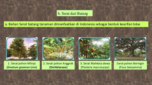 Pk7-KD5T1 Pengertian ,Jenis dan Karakteristik Bahan Serat Alam dari ...