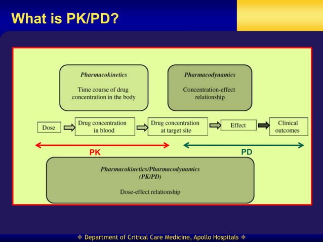PK and PD for antibiotic use.ppt