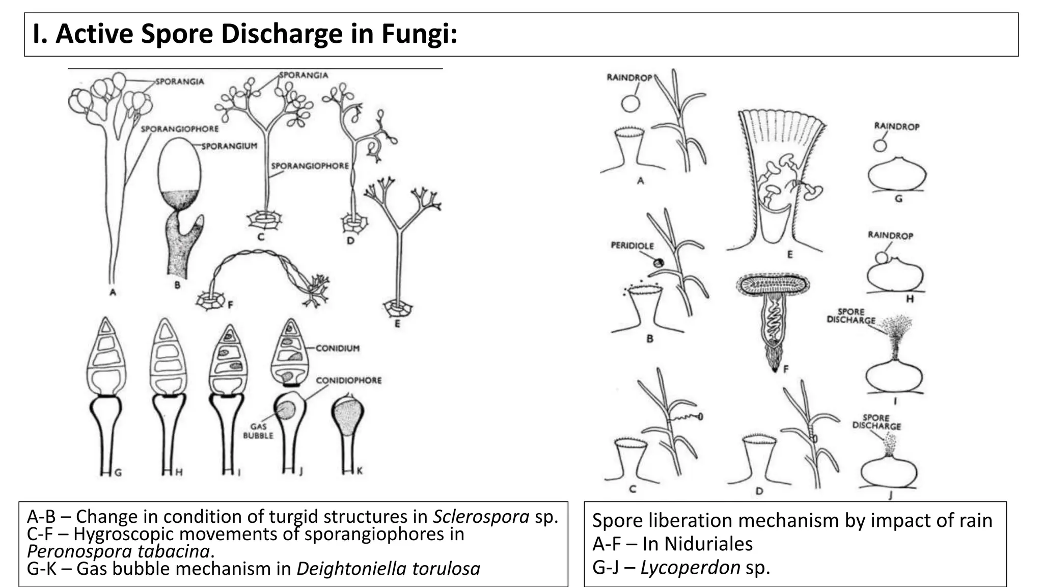 Aerobiology of Plant Pathogens........................pptx