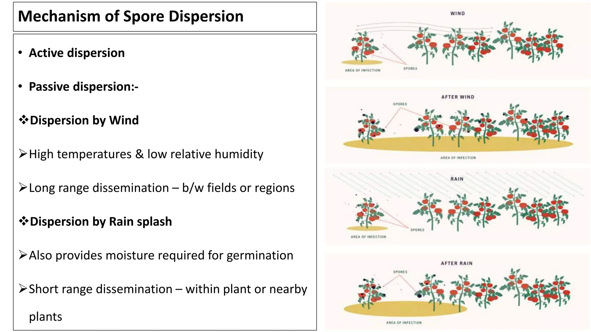 Aerobiology of Plant Pathogens........................pptx